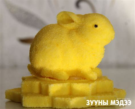 Фото Бэр цэцэгс