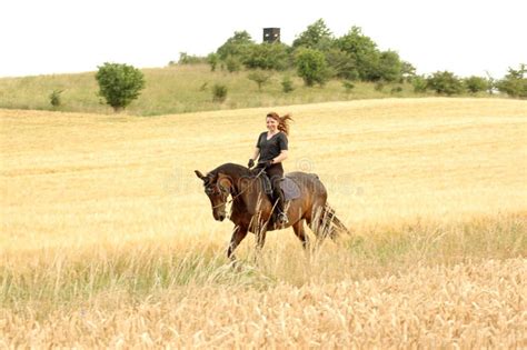 Gallop. stock photo. Image of horizon, nature, person - 12016006