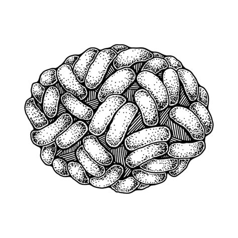 Premium Vector Hand Drawn Smallpox Virus Isolated On White Background