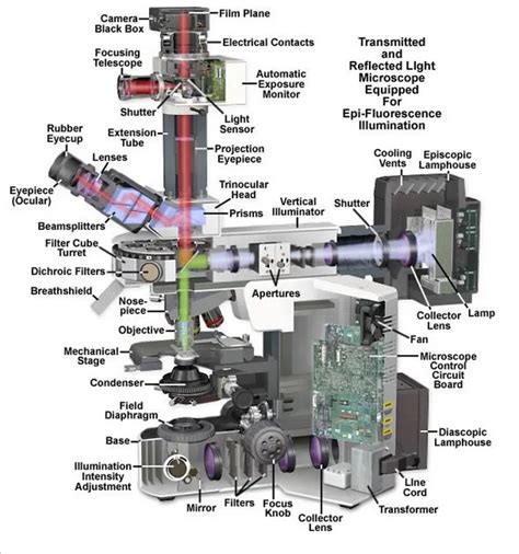 Optical Coating Thin Film Dichroic Mirror Filter For Real Time Fluorescence Pcr Buy Thin Film