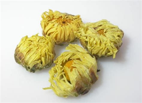 菊花中药材 菊花的功效与作用 菊花使用方法和禁忌 36解析式工具箱 在线实用工具查询网