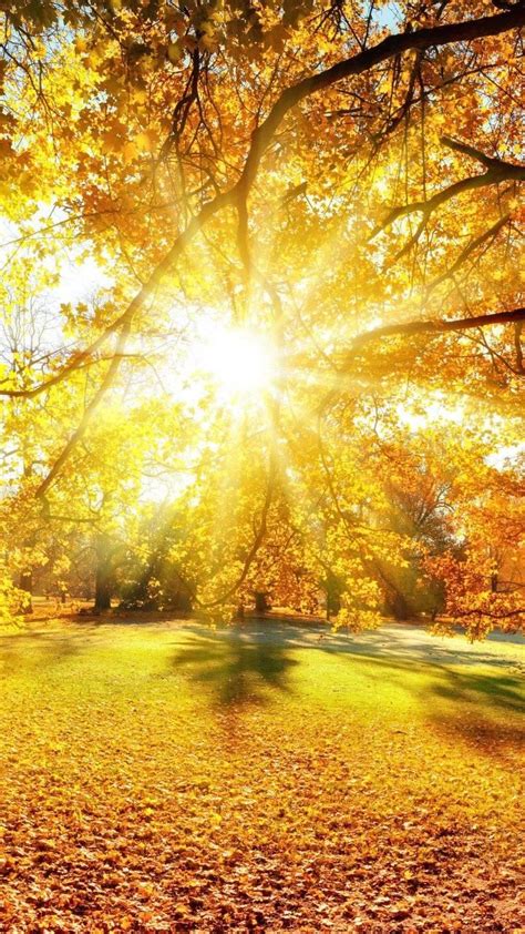 Хэрэгцээт бараагаа хямд үнээр аваарай