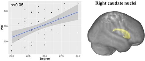 A Significant Positive Correlation Obtained Between The Perceptual