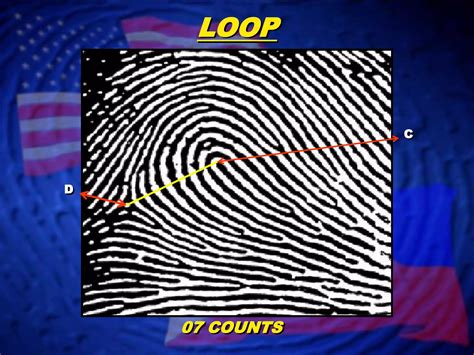 Fingerprint Classification Loop Patterns Pptx