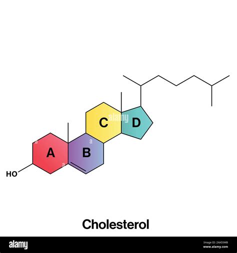 Structure Of Cholesterol