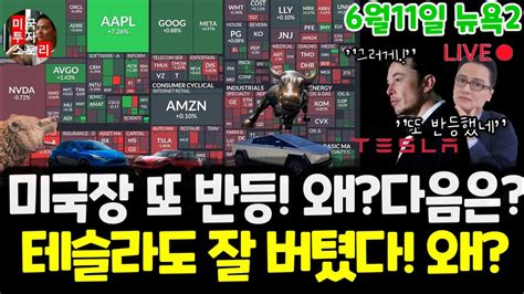 미국주식시황오늘 왜 올랐나 테슬라는 왜 떨어졌나엔비디아 구글 애플 아마존 메타 마이크로소프트 리비안 오라클 어펌 팔란티어 아이온큐 Smci등 Tsla Tesla