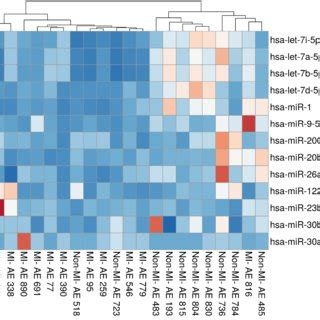 Hierarchical Clustering Analysis Of The Differentially Expressed MiRNAs