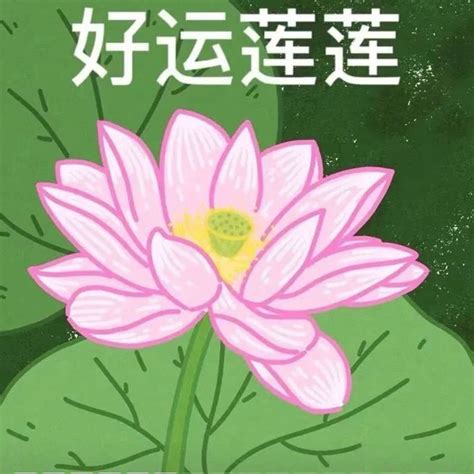 重庆好玩的地方有哪些地方，重庆市十大必去打卡景点 旅游 景区 艺术街