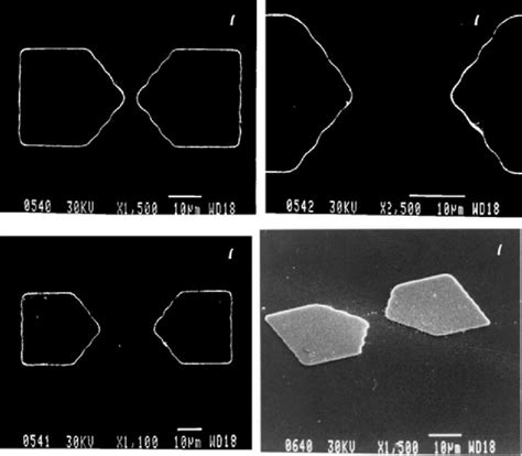 Microelectrodes As Viewed Under SEM A Microelectrode With Minimum 5 Download Scientific
