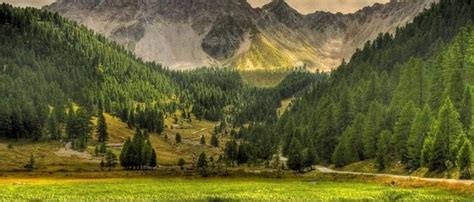 爬虫实战三异步爬取数据 知乎 爬虫实战三异步爬取数据 知乎