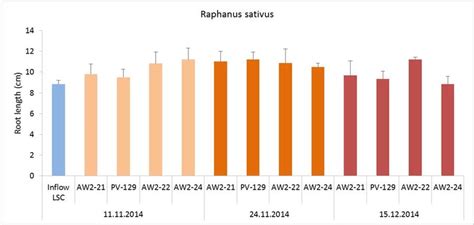 Root Length Of Raphanus Sativus After 6 Day Exposure To Water Samples