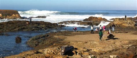 Glass Beach Hunting For Sea Glass Treasure California Travel