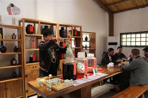 全域土地综合整治“高州路径”：土地“醒”了，乡村“活”了新快网