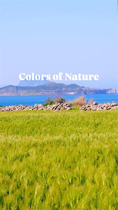 열매의 숲🍒🌳 In 강릉 🍒🌳 열매의 숲의 핸드메이드 요가매트스트랩🧘🏽‍♀️ 네이버 스마트스토어에서 만나보실 수 있습니다♥️ 14가지 자연의 색깔을 자유롭게 선택