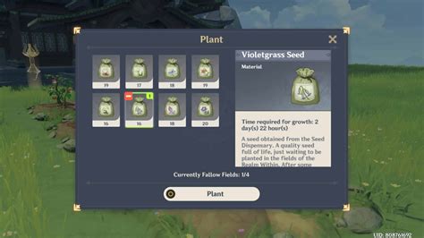 Violetgrass Genshin Impact Guide Genshin Chronicle