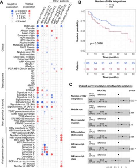Gut：hbv整合促进肝细胞癌局部及远距离致癌驱动因子的改变 Medscicn
