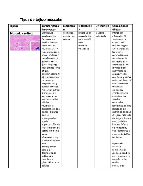 Tipos De Tejido Muscular Tipos De Tejido Muscular Tejidos
