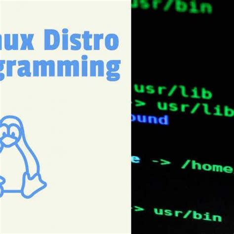 Best Linux Distros For Servers Linux Stans
