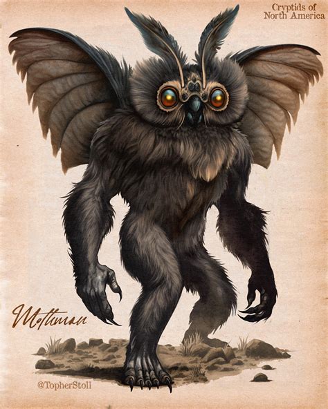 Heres My Naturalist Illustration Of Mothman Scientific Art Of This