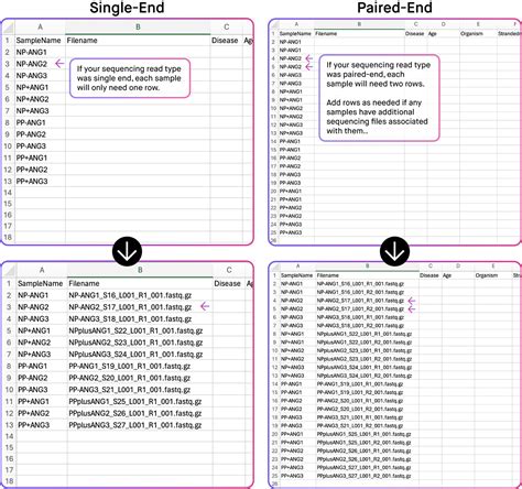 How To Create A Metadata Table — Rna Seq Analysis With Trovomics