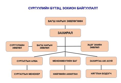 Бүтэц зохион байгуулалт