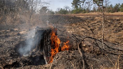 I Feel Numb Evacuees Describe Rolling Pines Fire In Bastrop County
