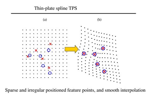 PPT Image Morphing Thin Plate Spline Model CSE B Spring Computer Vision PowerPoint