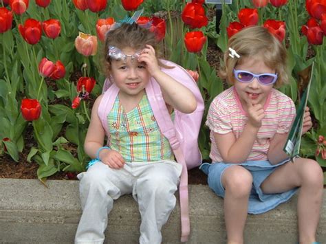 Dscf2754 Aaron Newcomb Flickr