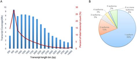 Distribution Of Assembled Transcript Length And Statistic Of Isoform Download Scientific