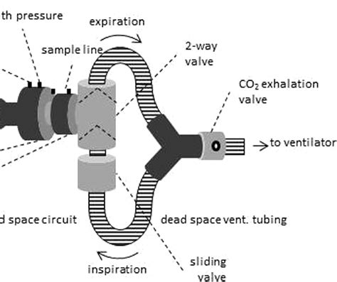 Schematic Representation Of Breathing Circuit Setup Copd Downloaded Download Scientific