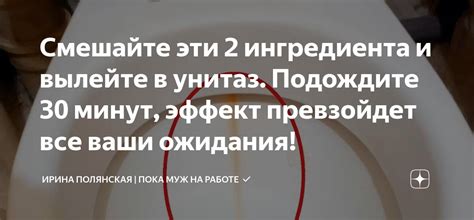 Смешайте эти 2 ингредиента и вылейте в унитаз Подождите 30 минут эффект превзойдет все ваши