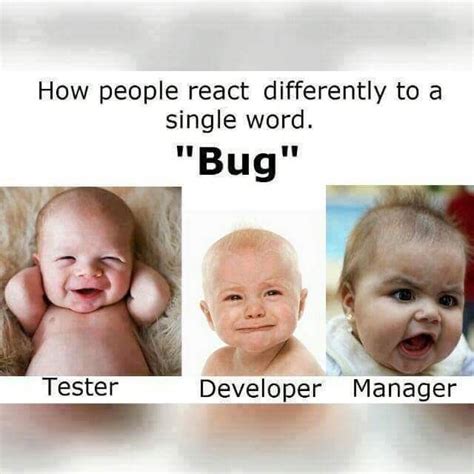 How People React Differently To A Single Word Bug Tester Developer Manager Fun Funny