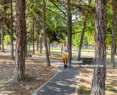 스포츠맨 숲에 조깅입니다 건강 한 생활양식입니다 잘생긴 남자 공원에서 조깅 착용 헤드폰 듣는 음악 20 29세에 대한 스톡 사진 및 기타 이미지 Istock