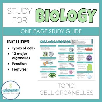 Cell Organelle Review Guide By The Tropical Science Teacher TPT