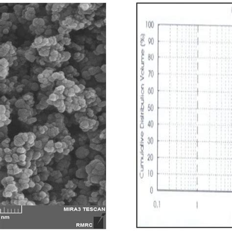 Fesem Image Showing Microstructure Of Zinc Oxide Nanoparticles Download Scientific Diagram