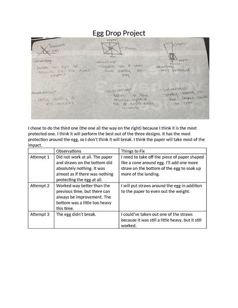 Egg Drop Lab Egg Drop Lab Egg Drop Project I Chose To Do The Third One The One All The Way