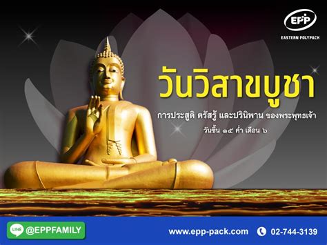 Epp พลาสติก Pp คือ พลาสติกชนิด Pp เป็นพลาสติกที่ใช้บ่อยกันบ่อยมากๆ ในงานบรรจุภัณฑ์ ไม่ว่าจะนำ