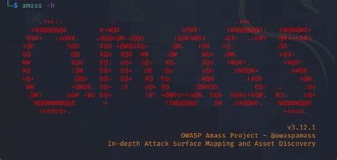 🧠 mastering subdomain enumeration with subfinder — a passive recon