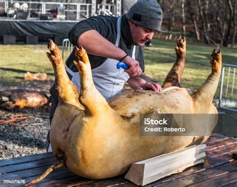 Carniceros Matando A Un Cerdo Foto De Stock Y Más Banco De Imágenes De Aire Libre Aire Libre