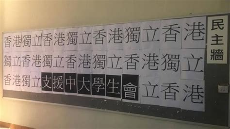 香港教育局副局長蔡若蓮喪子被「恭喜」引爭議 Bbc News 中文
