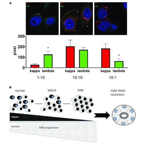 Comparison Of Subdivided LC R C Cases Download Scientific Diagram