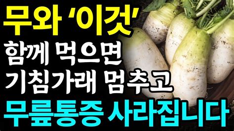 무와 함께 먹으면 보약되는 음식 3가지와 레시피 총정리 값비싼 영양제 대신 이것 드세요 기침 가래 무릎통증까지 싹 사라집니다 Artofit