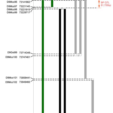 Substitution Mapping Of Rat Chromosome 9 Rno9 Polymorphic