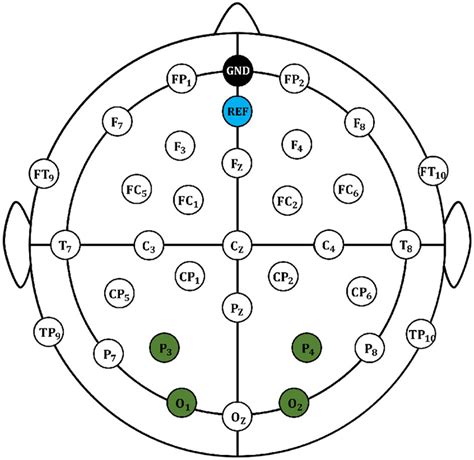 Electrode Distribution Map Of Eeg Signal Acquisition Download Scientific Diagram