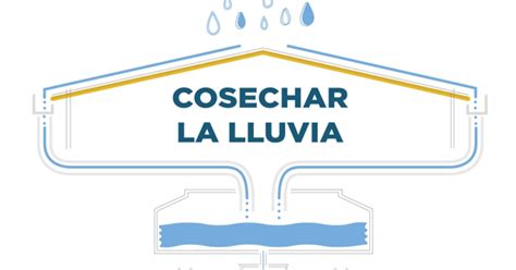 Cuáles Son Los Beneficios Y Cómo Cosechar El Agua De Lluvia Infobae
