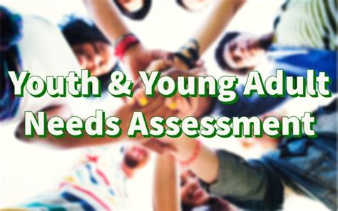 Yhdp Youth And Young Adult Needs Assessment Tchc Total Care For The