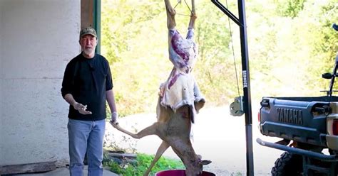 Video How To Skin A Deer Grand View Outdoors