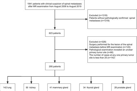 Figure 1 From Prediction Of Primary Tumor Sites In Spinal Metastases