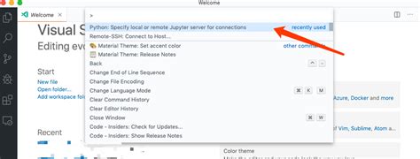 Vs Code 连接远程服务器运行 Jupyter Notebook Csdn博客