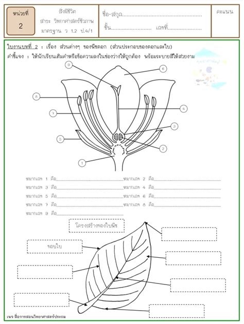 💢แ จ ก ฟ Sี ใบงานวิทย์ ป 4 บ้านสื่อการสอนวิทยาศาสตร์ Facebook